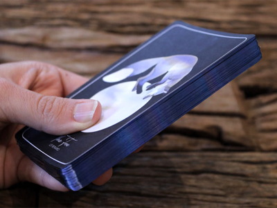 Magpie Lenormand Oracle Card | CPPS